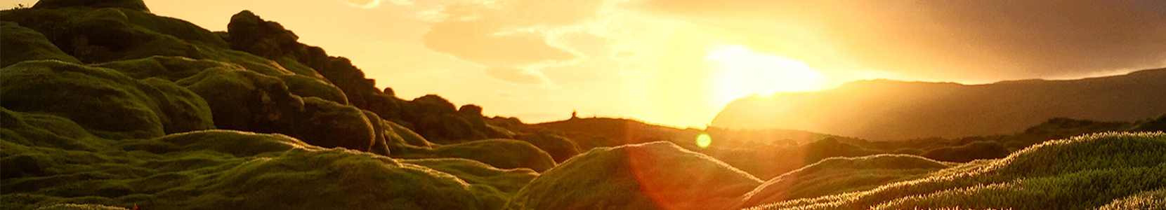 Adminty - Premium Admin Template by Colorlib